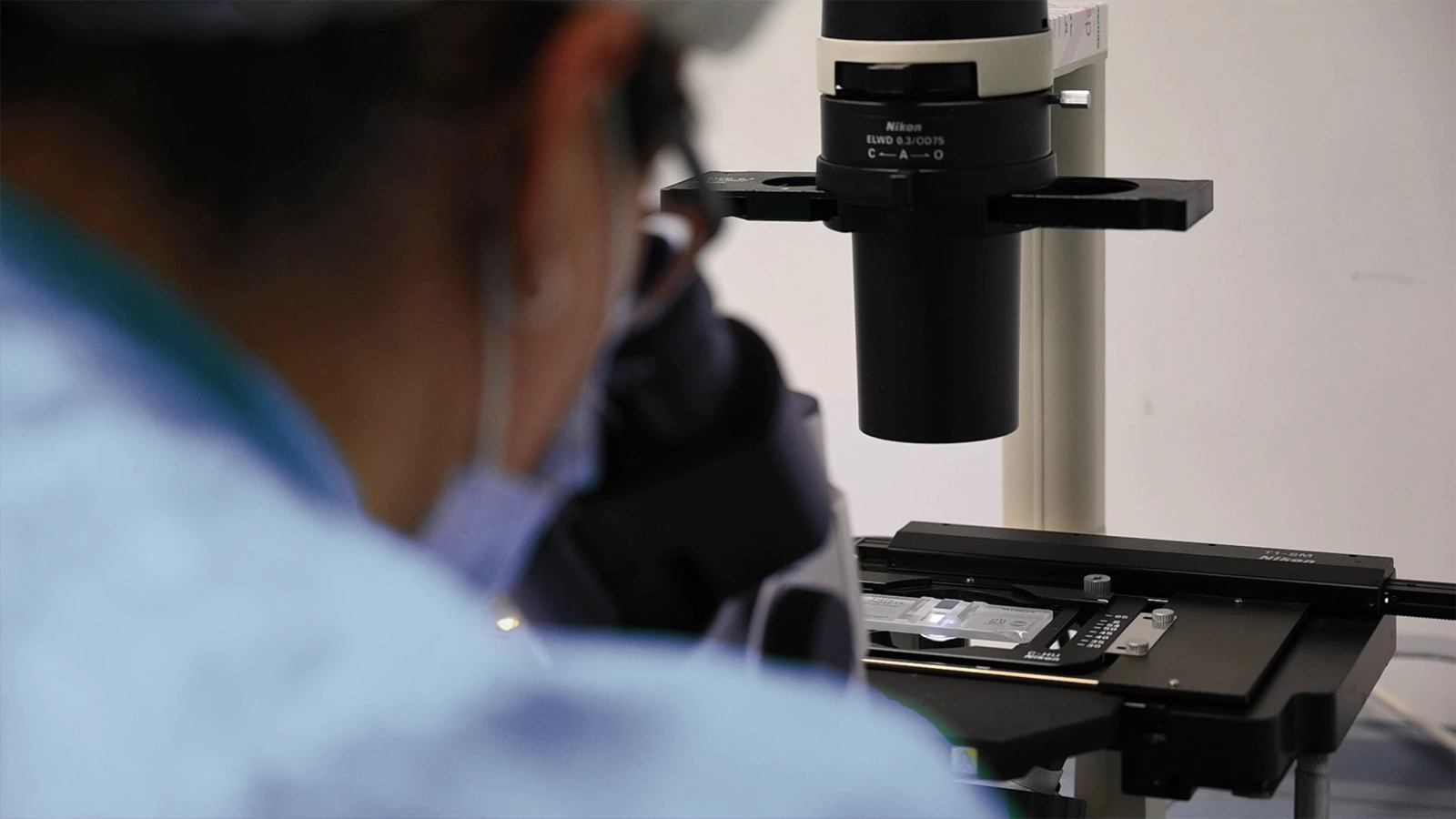 New useful information about SARS-CoV-2 variants | Immunostep Biotech