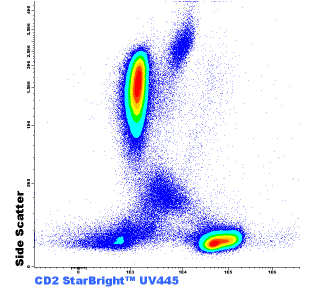 CD2 (RPA-2.10) | Immunostep Biotech